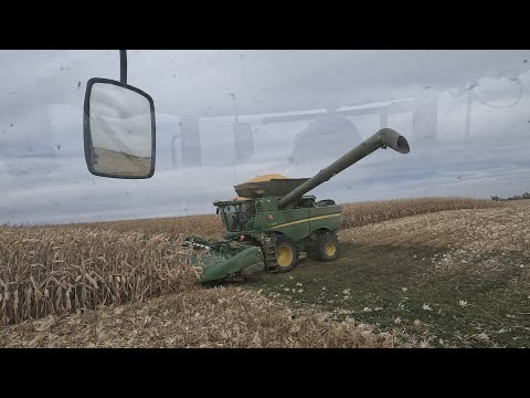 Cab Corn King! | Finishing Harvest In Record Time! - YouTube