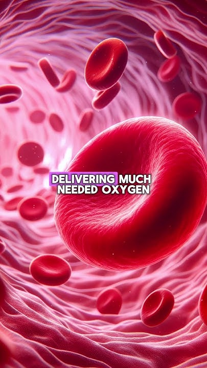 Why Is Blood Red? #didyouknow #science #health #biology - YouTube