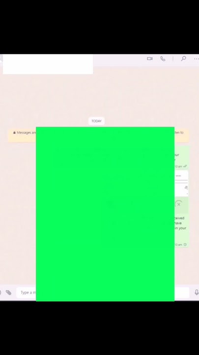 Custom File send Excel to Whatsapp using Excel VBA automatically #short - YouTube