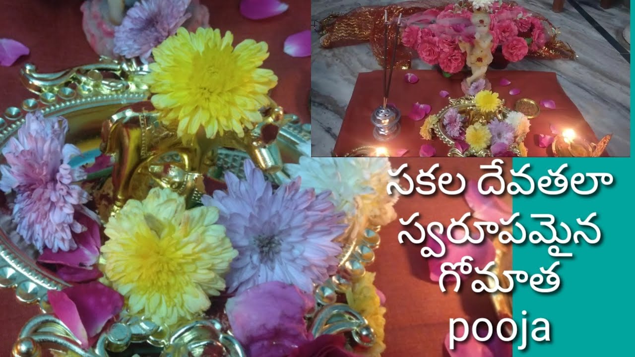 గోమాత పూజ at home// మన ఇంట్లోనే గోమాత పూజ // gomatha pooja# govu pooja ...