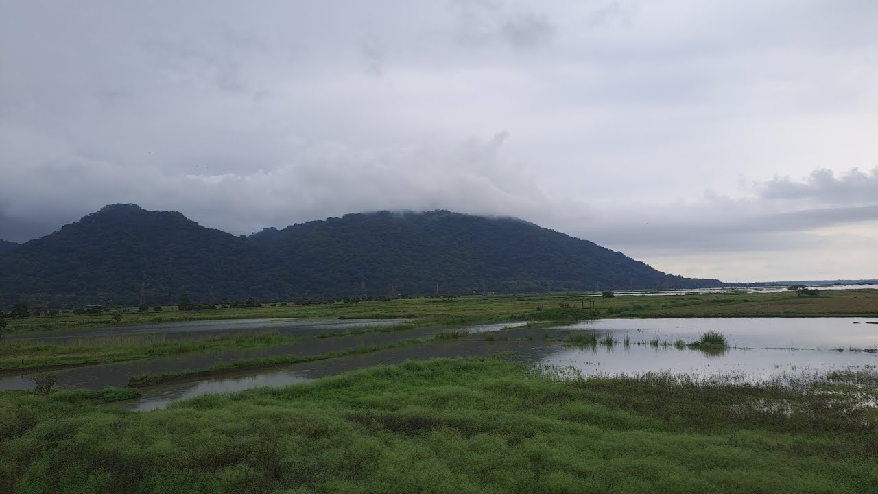 Natural Scenery/Guramarajan in Gobardhan village, Assam - YouTube
