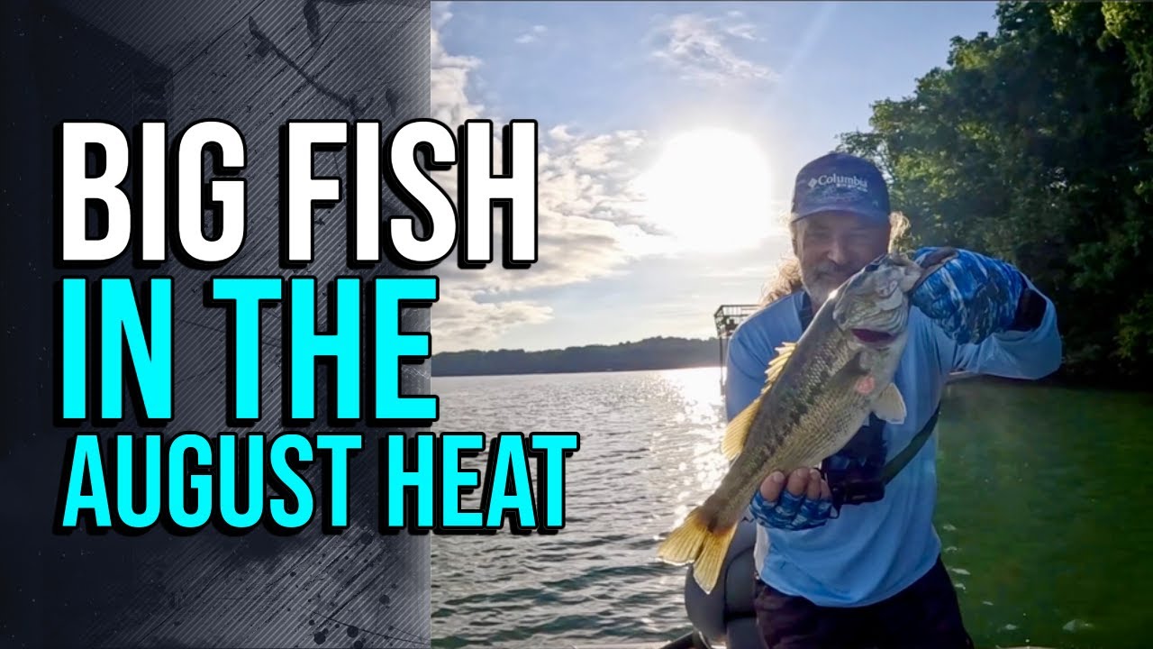 Big Fish In The August Heat #lakelanierfishing2024 #bassfishing - YouTube