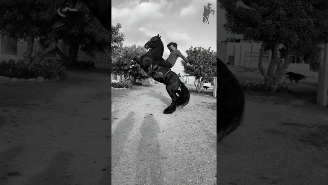 Horse and his master dance to the music of Michael Jackson 😎🥰 #shorts # ...