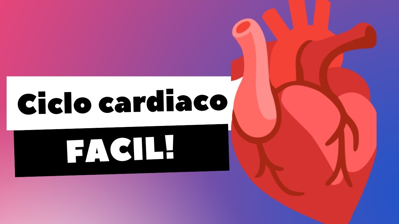 Ciclo cardiaco | Explicación FACIL | Fisiologia - YouTube