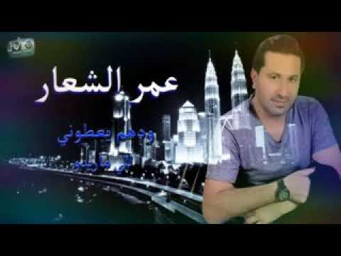Omar al shaar