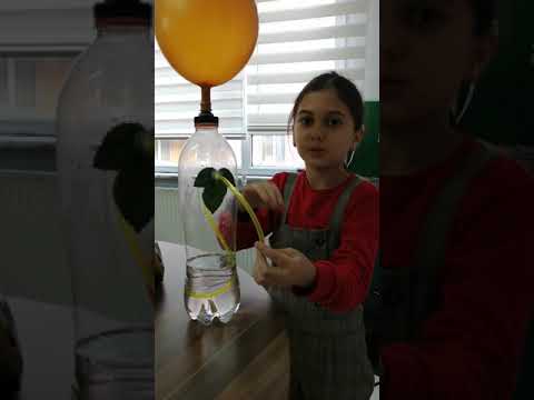 Görme Engelliler için tasarım Plan 2 Second Grade Stem and CODING projesi