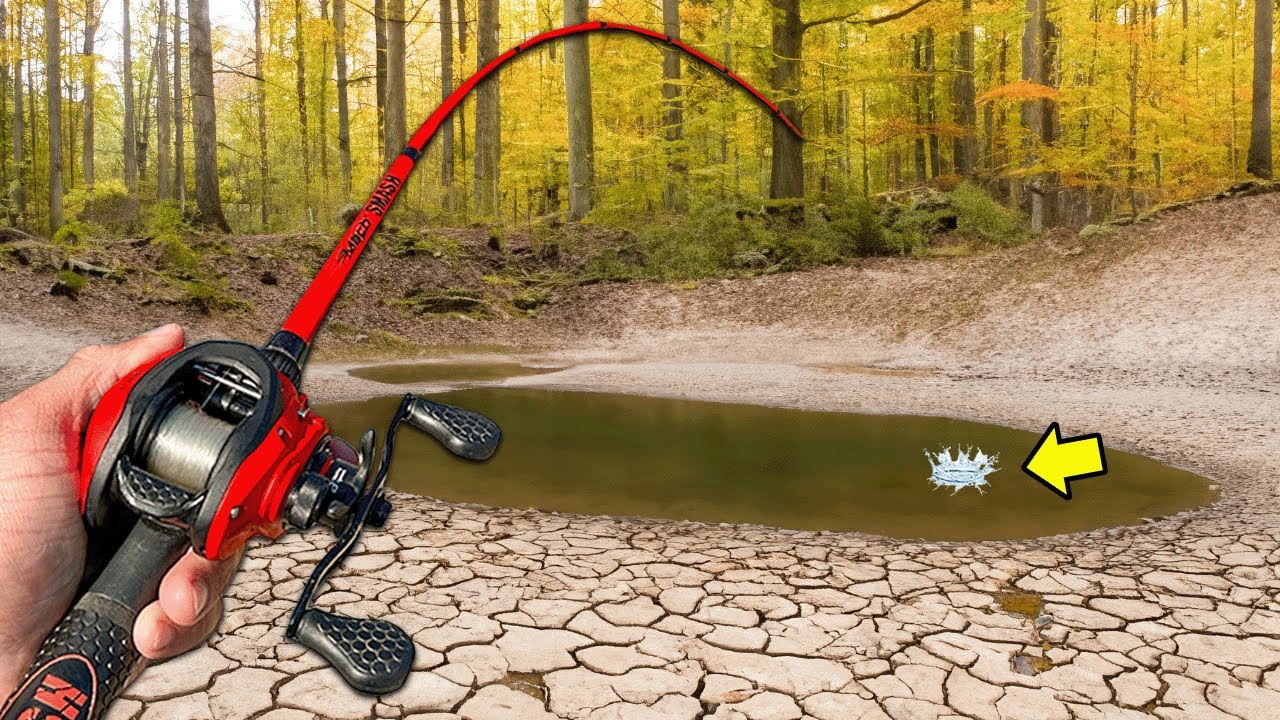 Fishing Tiny Puddles for Big Bass! - YouTube