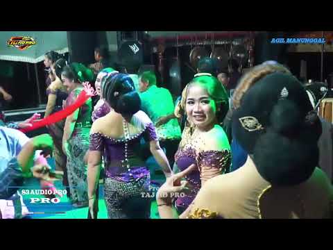 GOYANG TOBRUT PAKNE // AGIL MANUNGGAL // SENI TAYUB TERBARU LIVE KACANGAN 2025