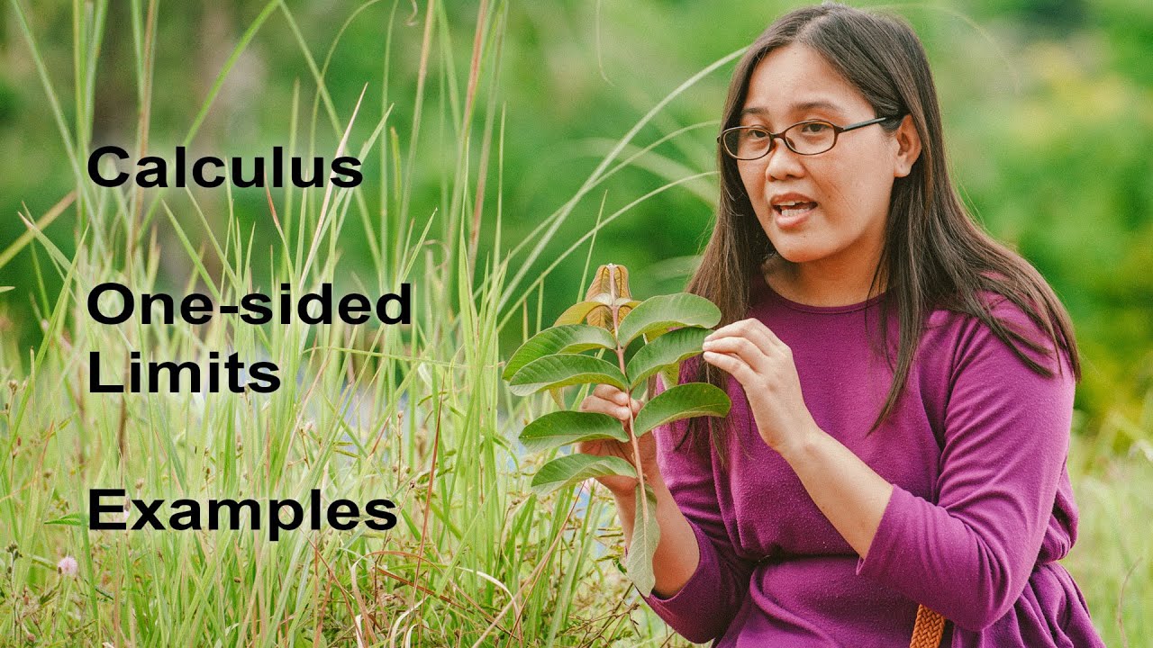 Calculus One sided Limits Examples YouTube calculus-one-sided-limits-examples-youtube
