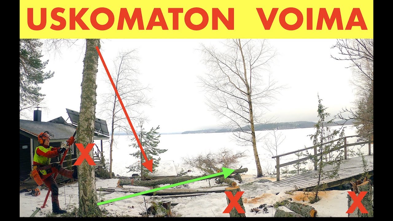 Stalpen, parasta mitä rahalla saa. Pro Finnish Lumberjack And The Best ...