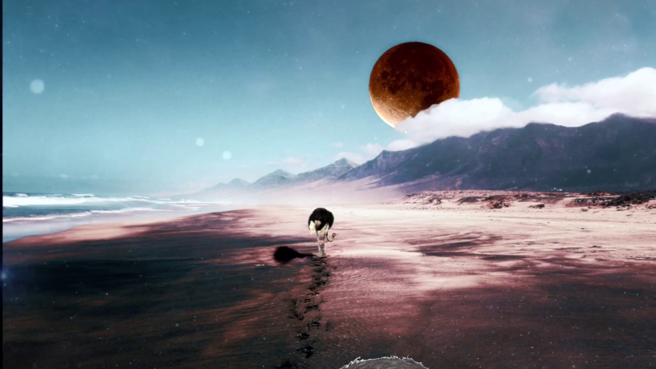 Sean Toy - Misplaced - YouTube