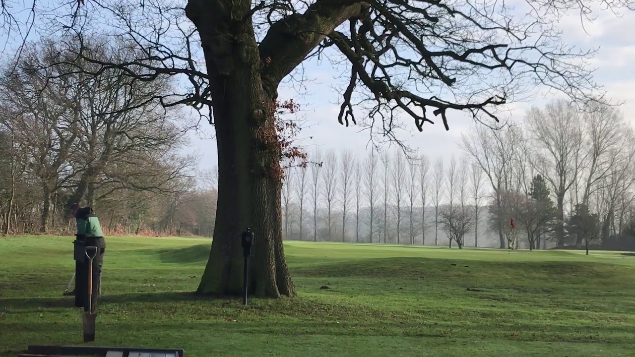 Busy busy on the Golf course - YouTube