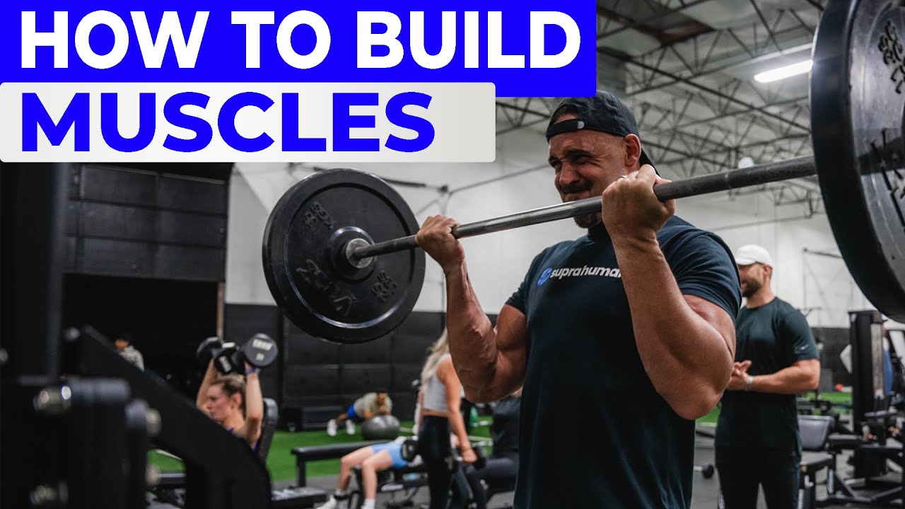 How to build Muscles - YouTube