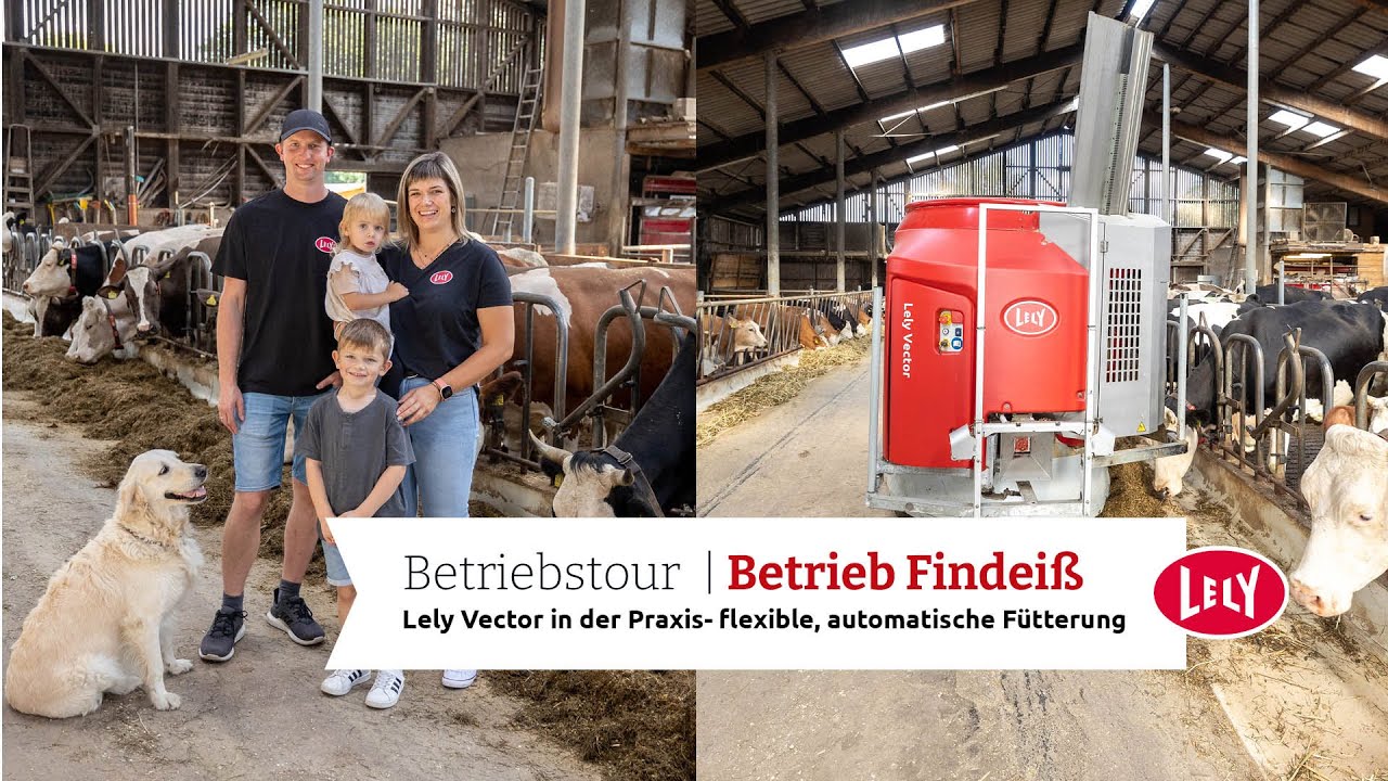 Lely Vector in der Praxis - flexible, automatische Fütterung | Stall ...