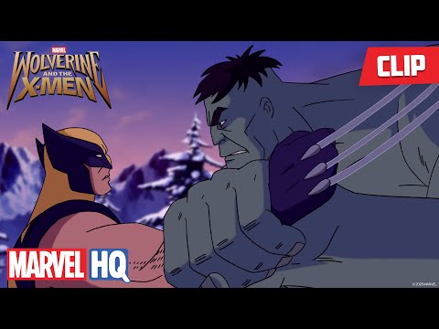 Wolverine Fights the Hulk?!