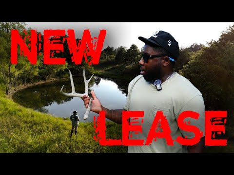 Jam Up TV S2-Ep1 New Lease Reveal - YouTube