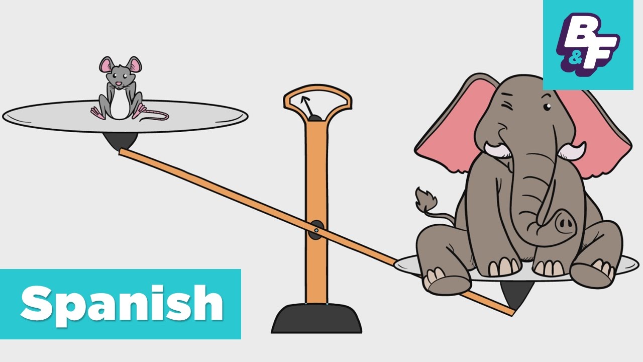 Learn Spanish Opposite Words for Children with BASHO & FRIENDS - Los ...