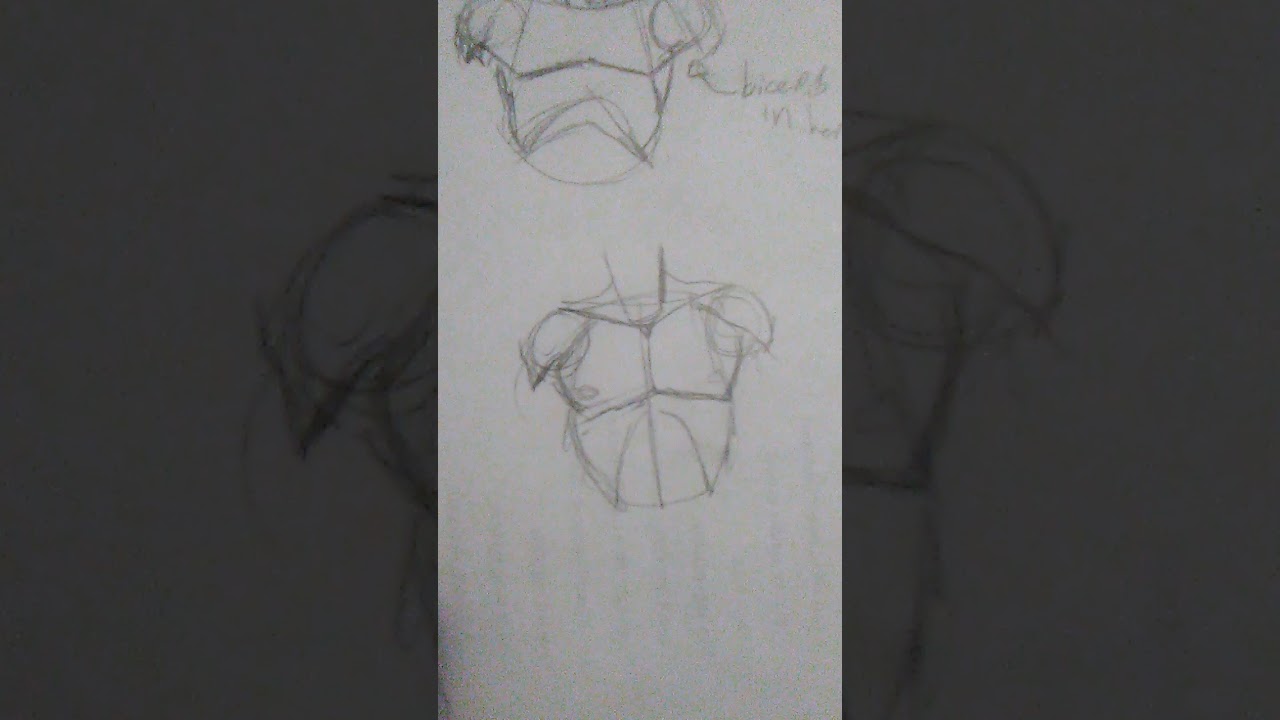 how to draw pectoral muscles. - YouTube