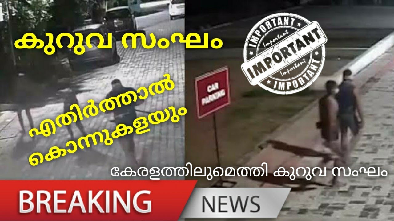 kuruva sangam 😯latest news😳കുറുവാ സംഘം കേരളത്തിൽ😯. |kuruva sangam ...