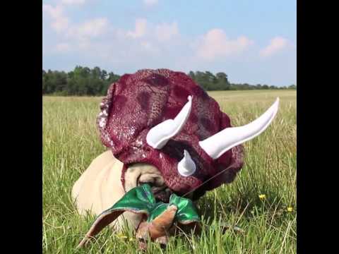 Jurassic Park - Doug The Pug - YouTube
