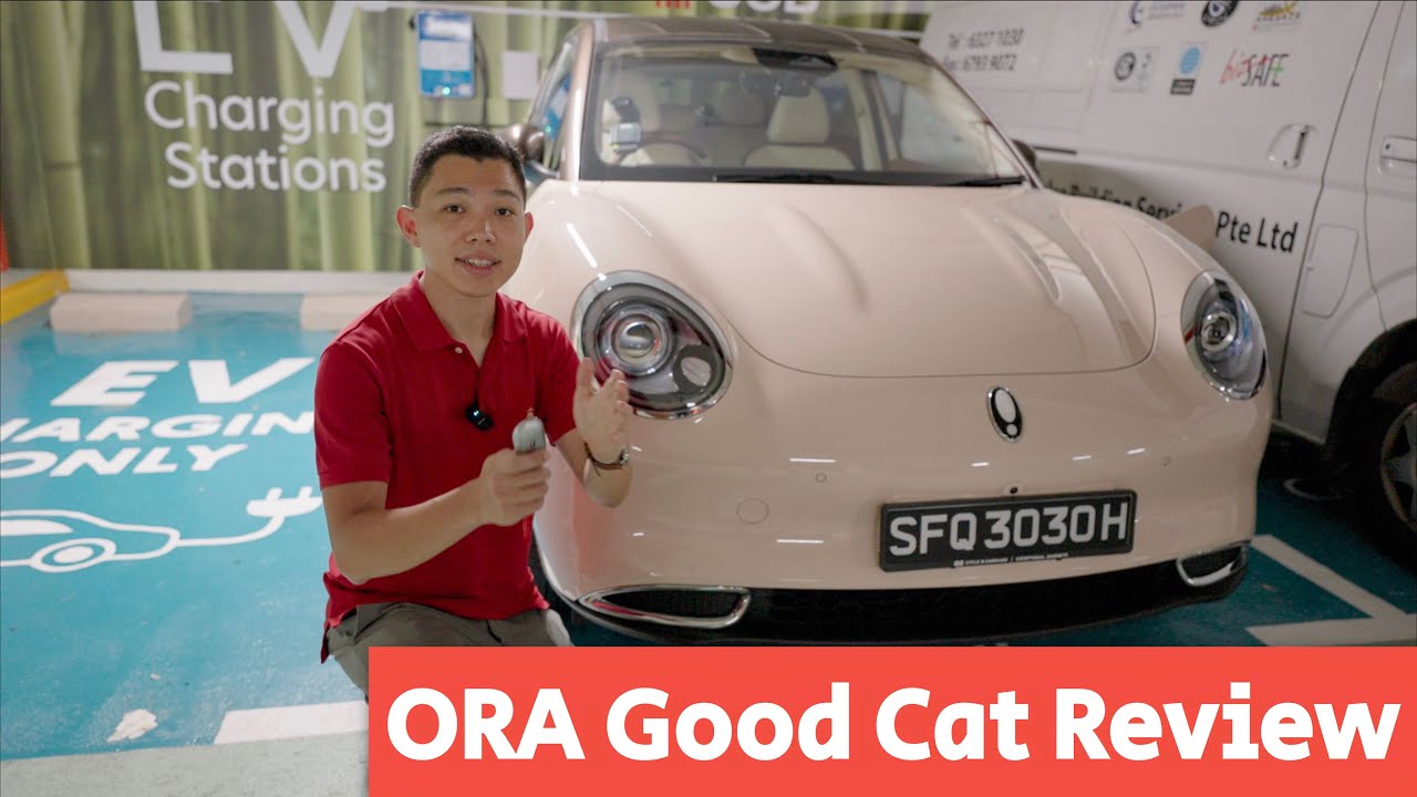 ORA Good Cat Review! - YouTube