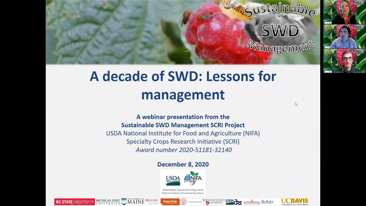 A Decade of SWD: Lessons for Management - YouTube