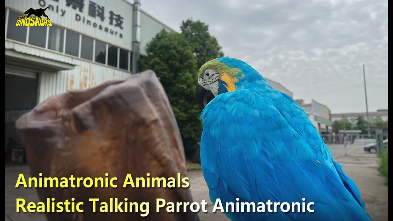 Realistic Talking Parrot Animatronic | Animatronic animals - YouTube