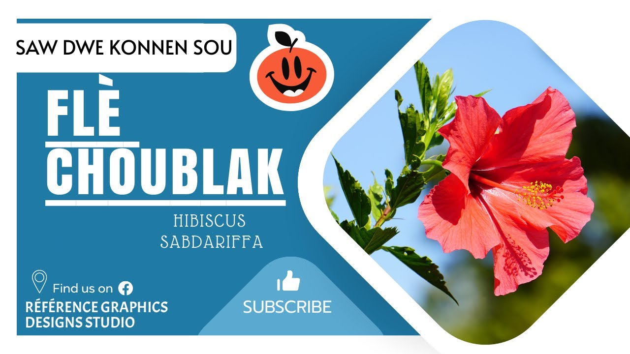 SAW DWE KONNEN SOU FLÈ CHOUBLAK /Hibiscus Sabdariffa/Hibiscus Rose de ...
