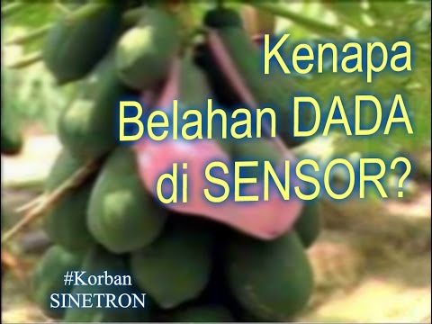 Kenapa belahan DADA di SENSOR? #KorbanSInetron 01