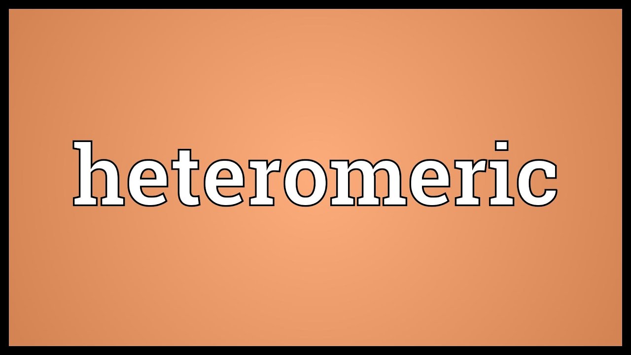 Heteromeric Meaning - YouTube