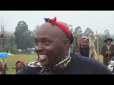ZULU KINGS: SHAKA, DINGANE, MPANDE, CETSHWAYO, DINUZULU, SOLOMON ...