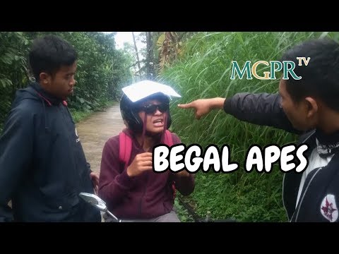 Begal Apes -  Megeper TV