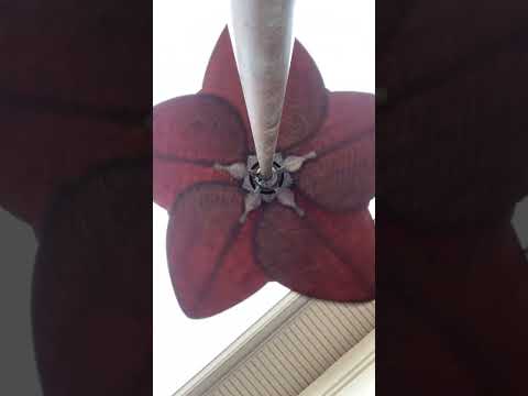🌪️ Hypnotic Upside Down Outdoor Fan - You Won't Believe How It Spins! 🔄 ...