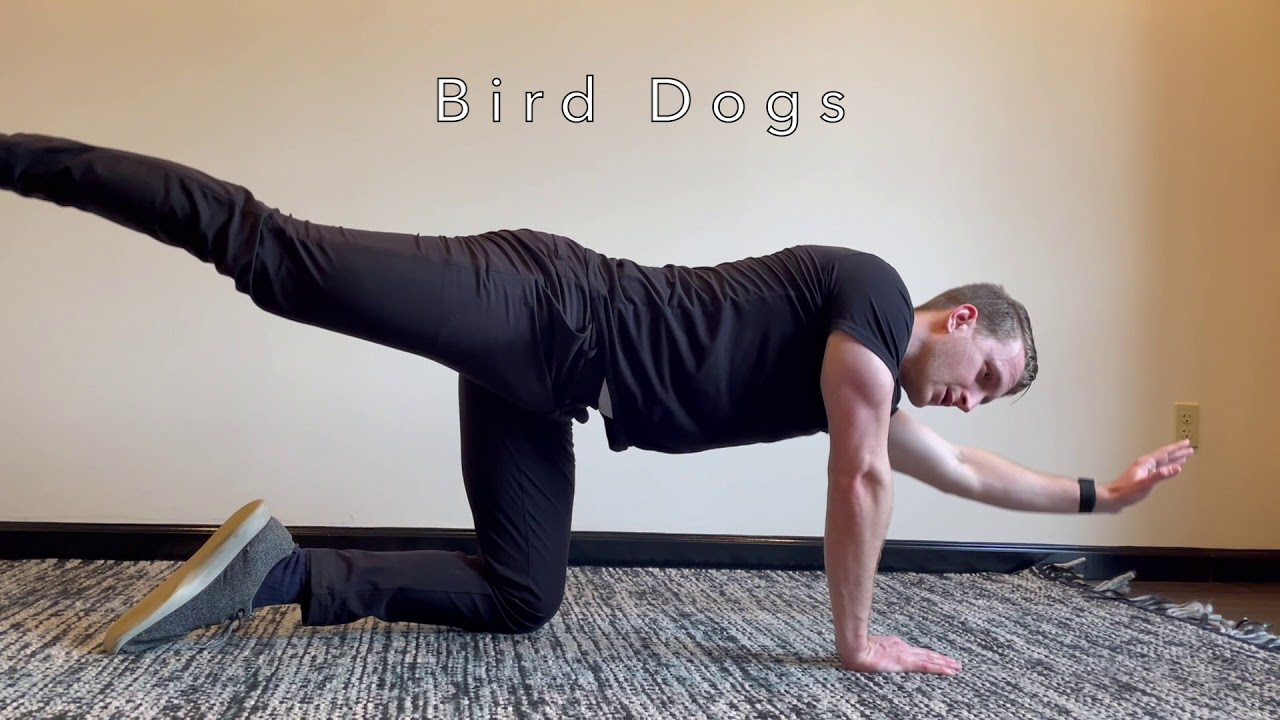 Bird Dogs, Supermans, Deadbugs - YouTube