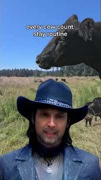 Fourteen Cows music video #suno - YouTube