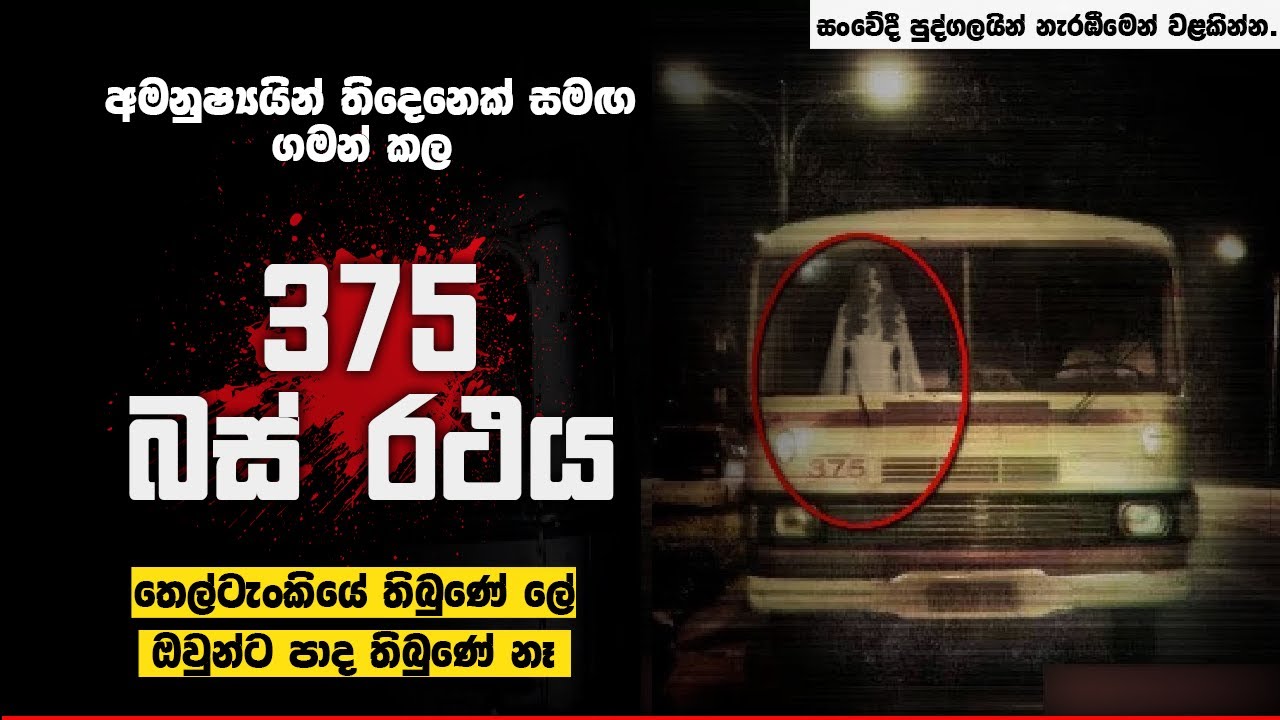 හොල්මන් තුනක් සමග ගමන් කල බස් රිය | 375 Bus | Horror Story | Holman ...