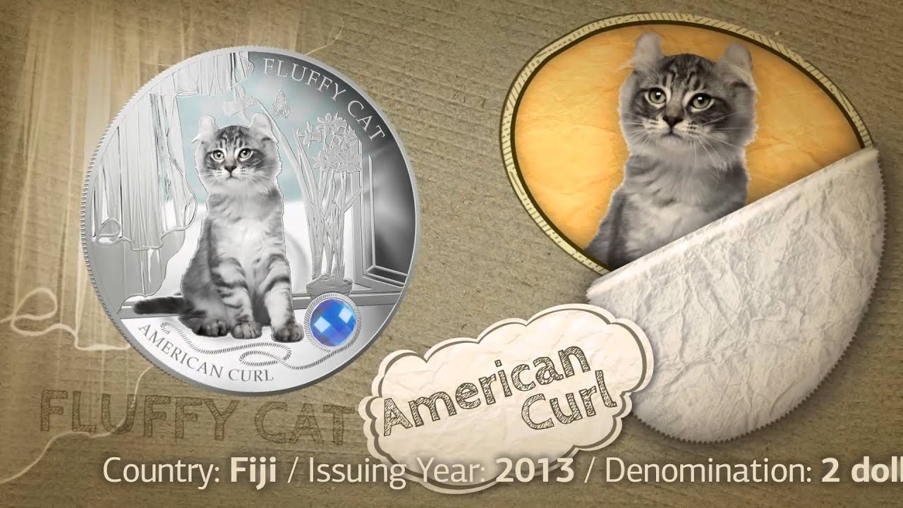 Dogs and Cats Fiji 2013 Silver Coin American Curl first coin in Fluffy ...