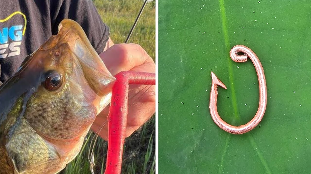 Fishing Hook Freshwater, Straight Shank Light Wire Worm Hook for Bass ...