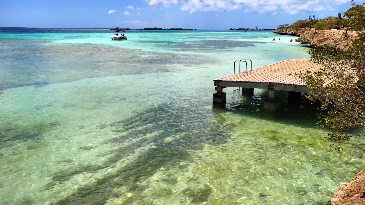 Mangel Halto Beach, Aruba!🇦🇼 - YouTube