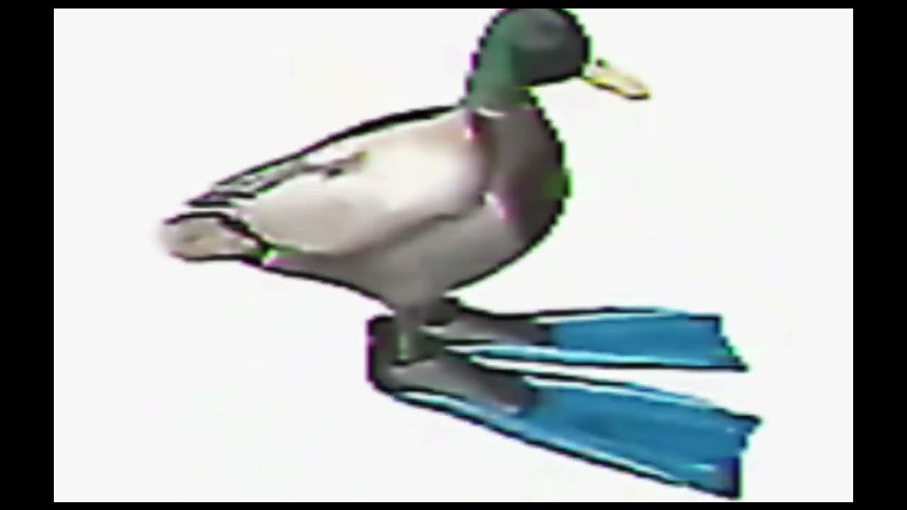 УТКА КРУТИТСЯ ШОК ВИДЕО - YouTube