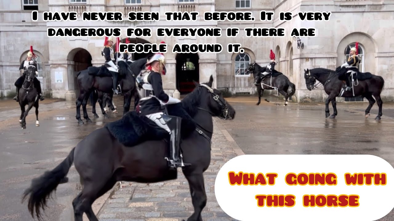 OMG 😧 A horse out of control is very dangerous - YouTube