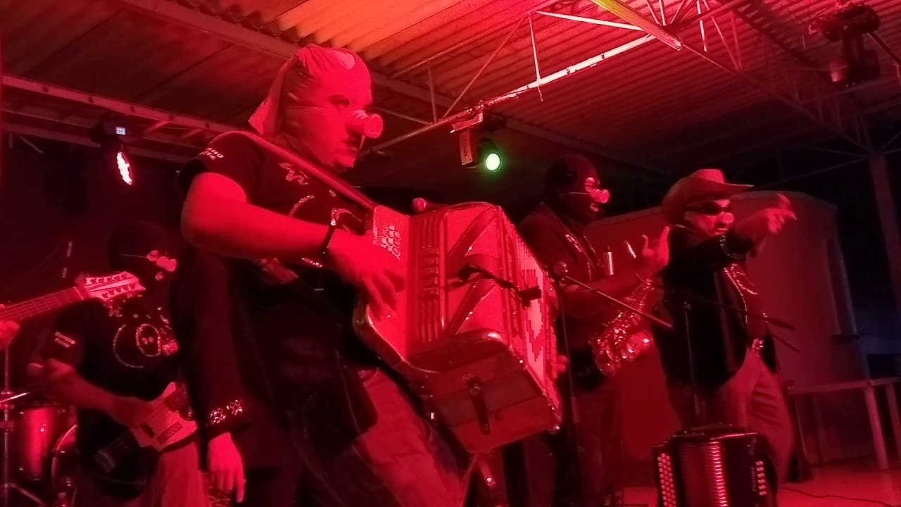 Grupo Marrano - El Ansioso En Vivo - YouTube