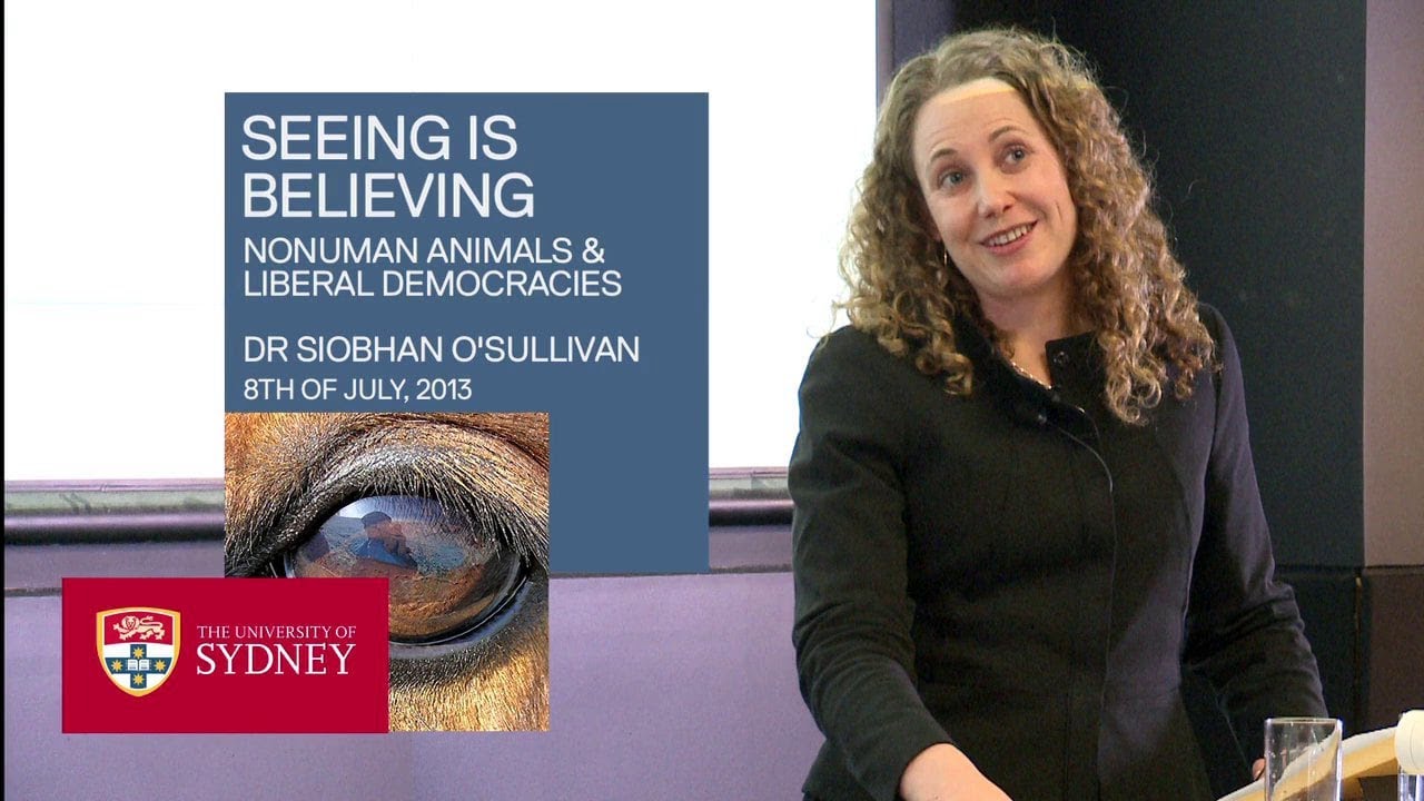 AASG Plenary 2013 - Siobhan O'Sullivan - YouTube