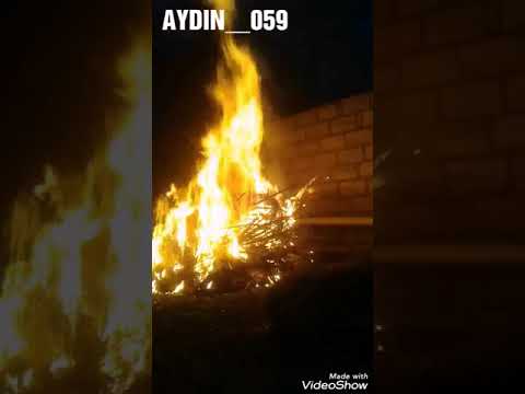 AYDIN  Terterli