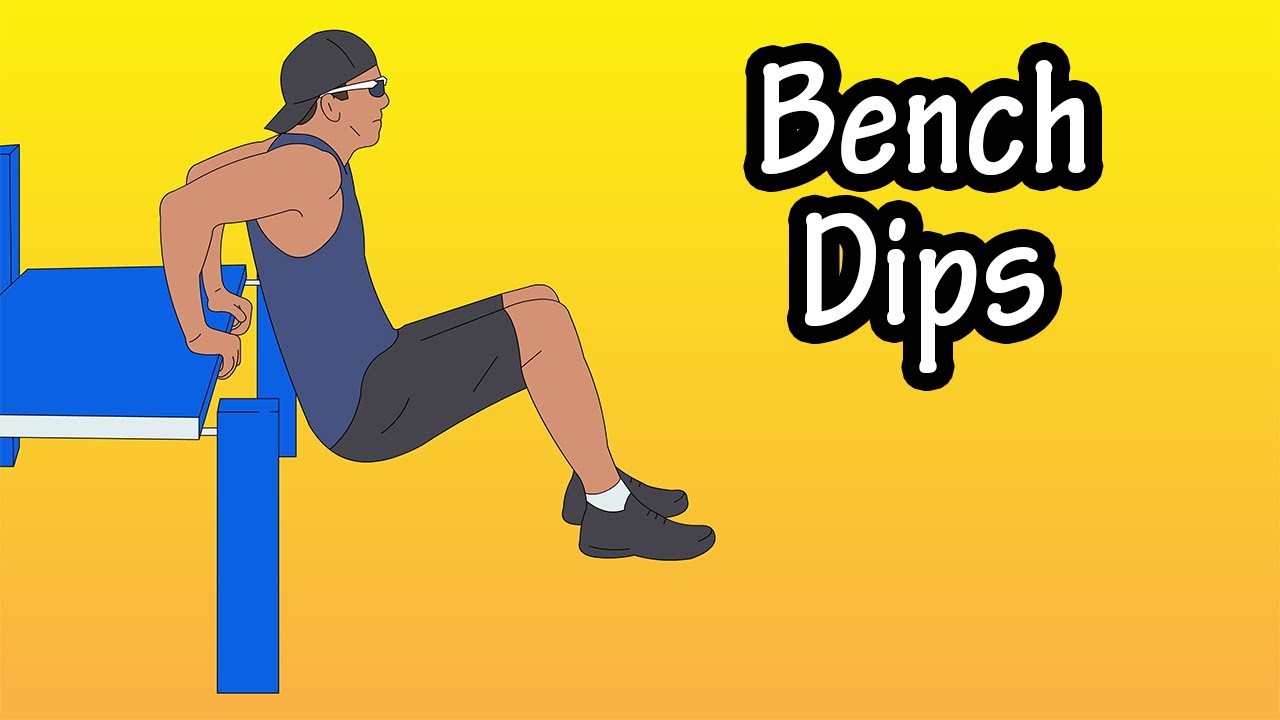 How To Do Bench Chair Body Weight Dips Exercise For Beginners And Dips ...