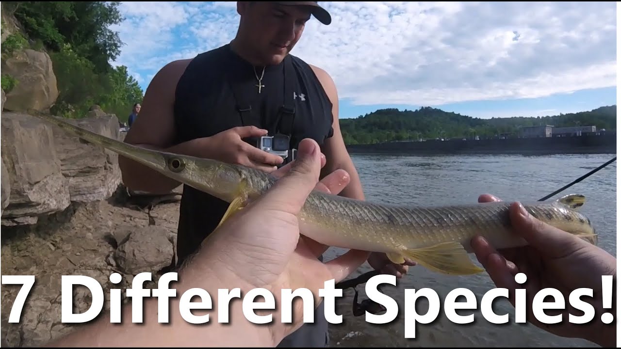 Multispecies Fishing on the Monongahela River | Fishing the Mon Ep. 2 ...