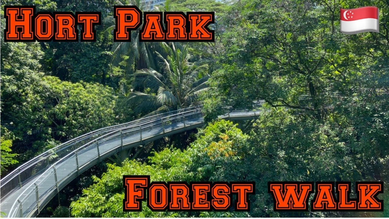 Hort park & Forest walk. Discovering beautiful Singapore. Life in ...