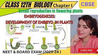 Structure of dicot and monocot embryo II class 12 II ch... | Doovi
