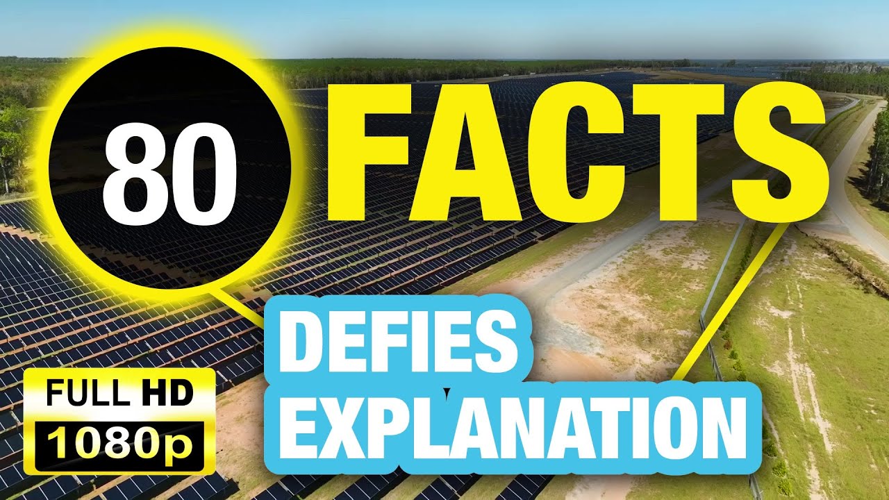 80 Unbelievable Facts That Will Make You Curious! - YouTube