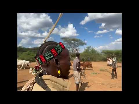 #clip82 BULL JUMPING CEREMONY - Hamer tribe, Turmi - Omo valley - Ethiopia #bukhankaworldtour